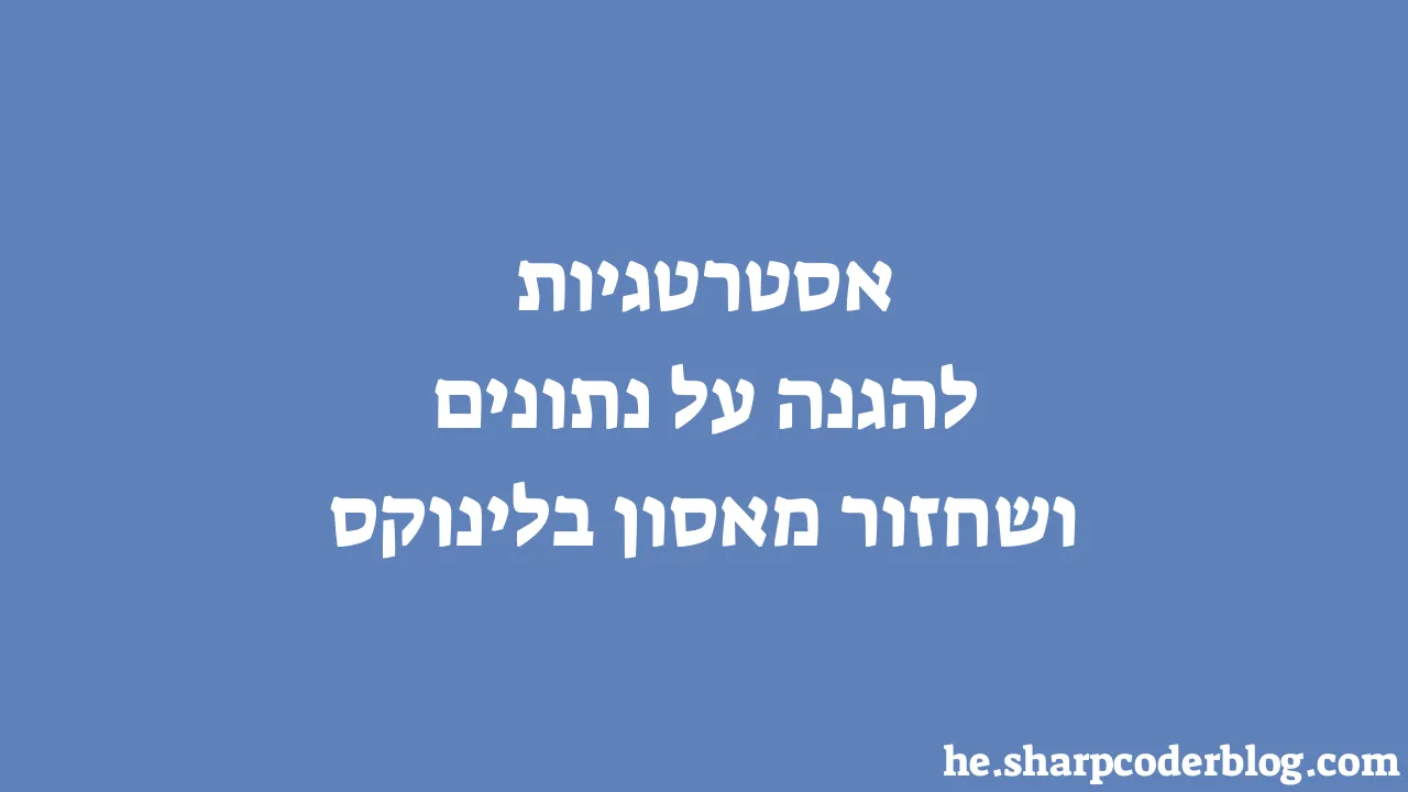 אסטרטגיות להגנה על נתונים ושחזור מאסון בלינוקס Sharp Coder Blog